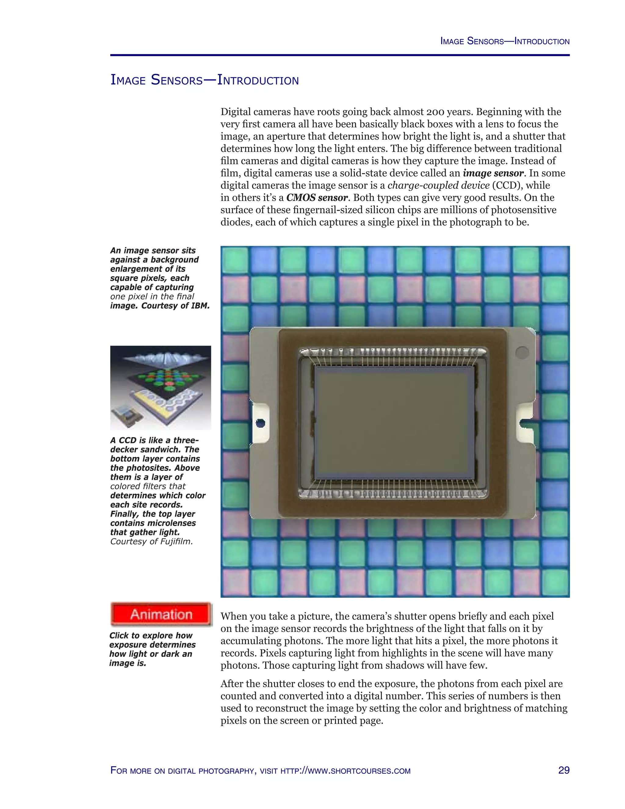 Textbook of-digital-photography-samples | PDF