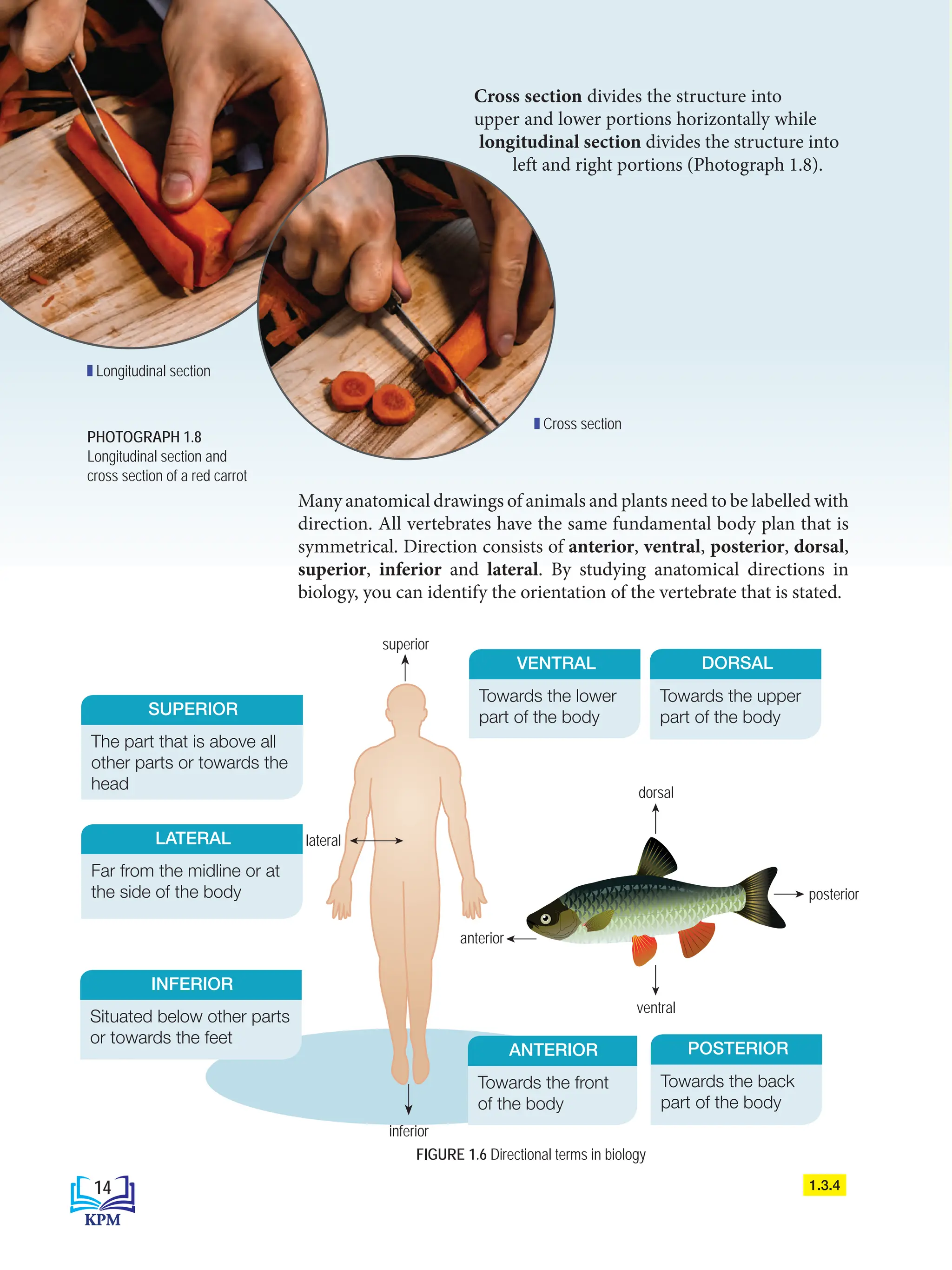 Text Book Biology_Form_4.pdf | Biological Sciences | Science