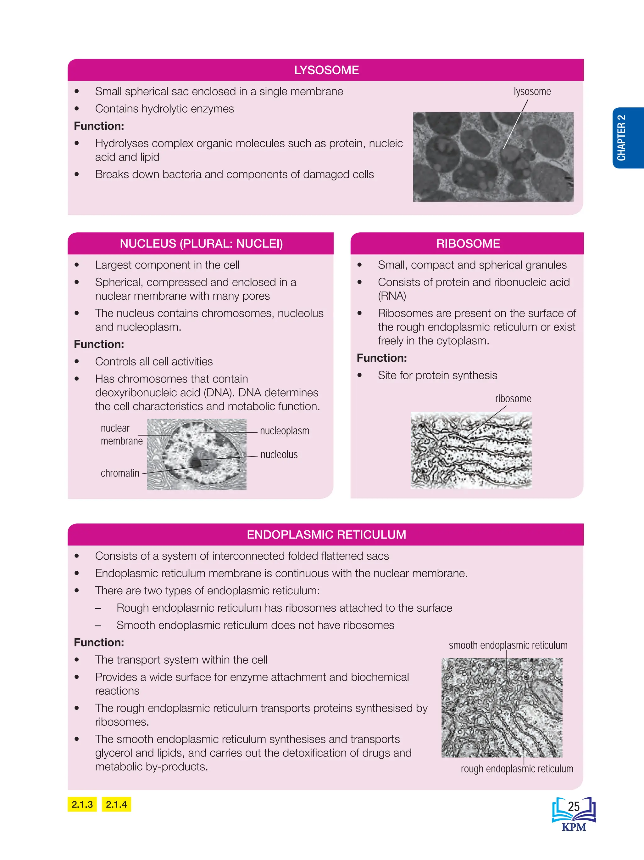 Text Book Biology_Form_4.pdf | Biological Sciences | Science