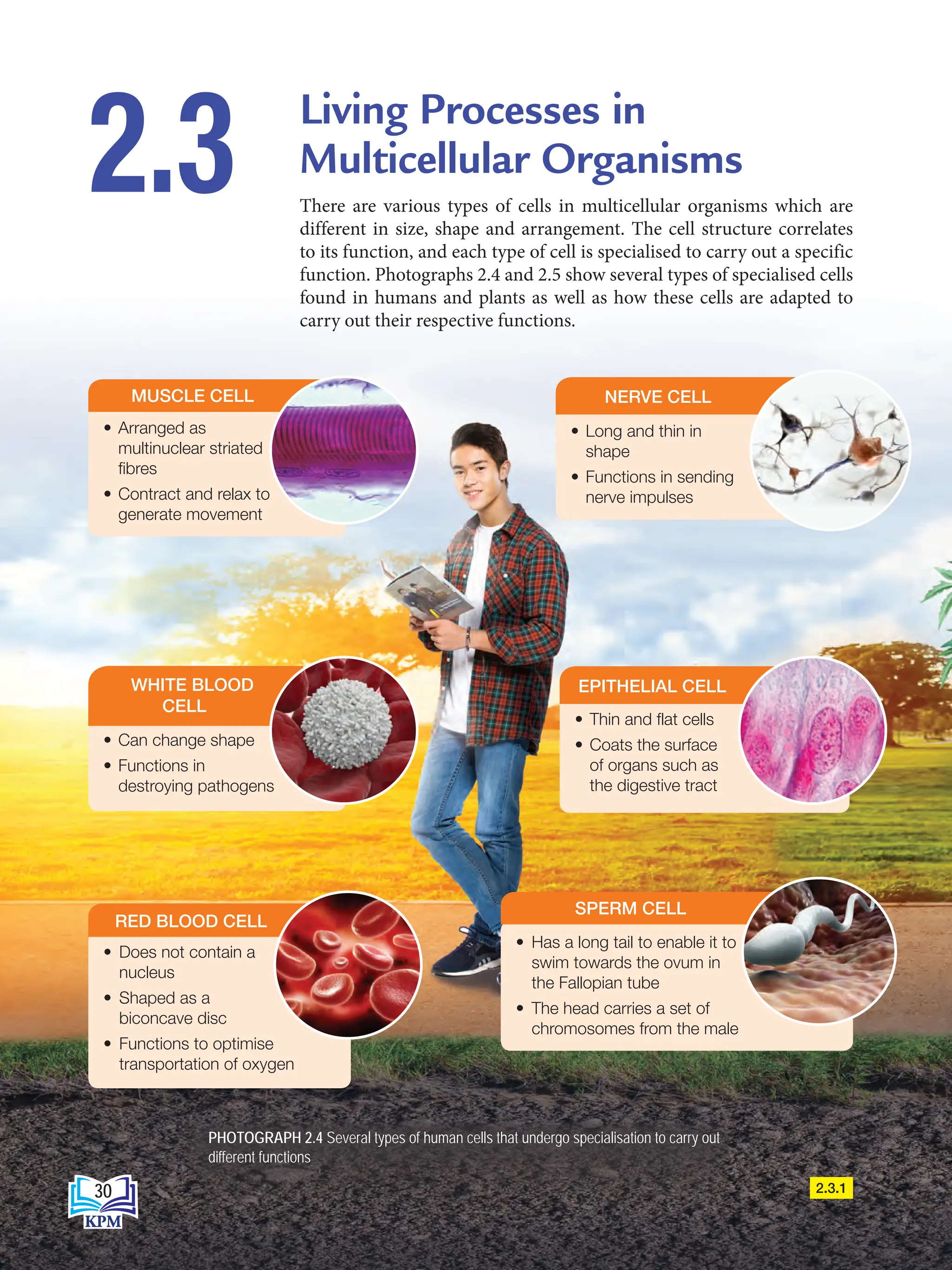 Text Book Biology_Form_4.pdf | Biological Sciences | Science