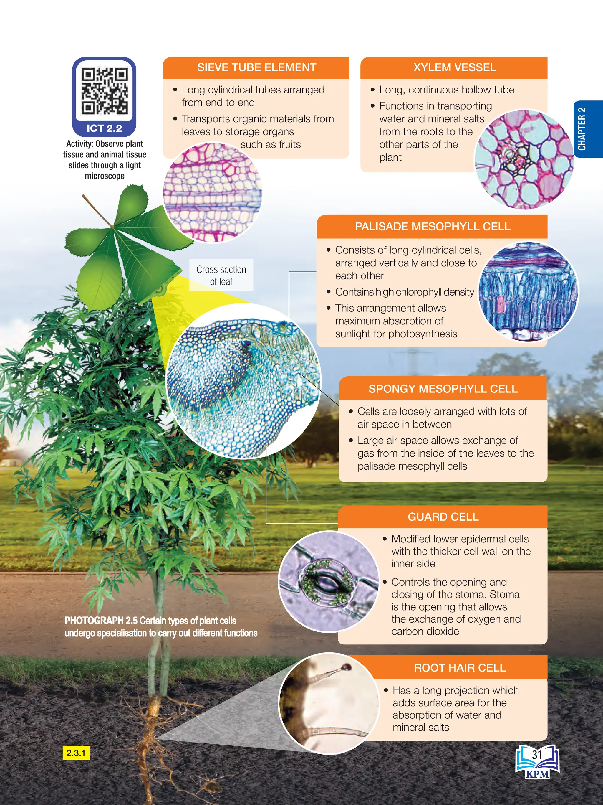 Text Book Biology_Form_4.pdf | Biological Sciences | Science