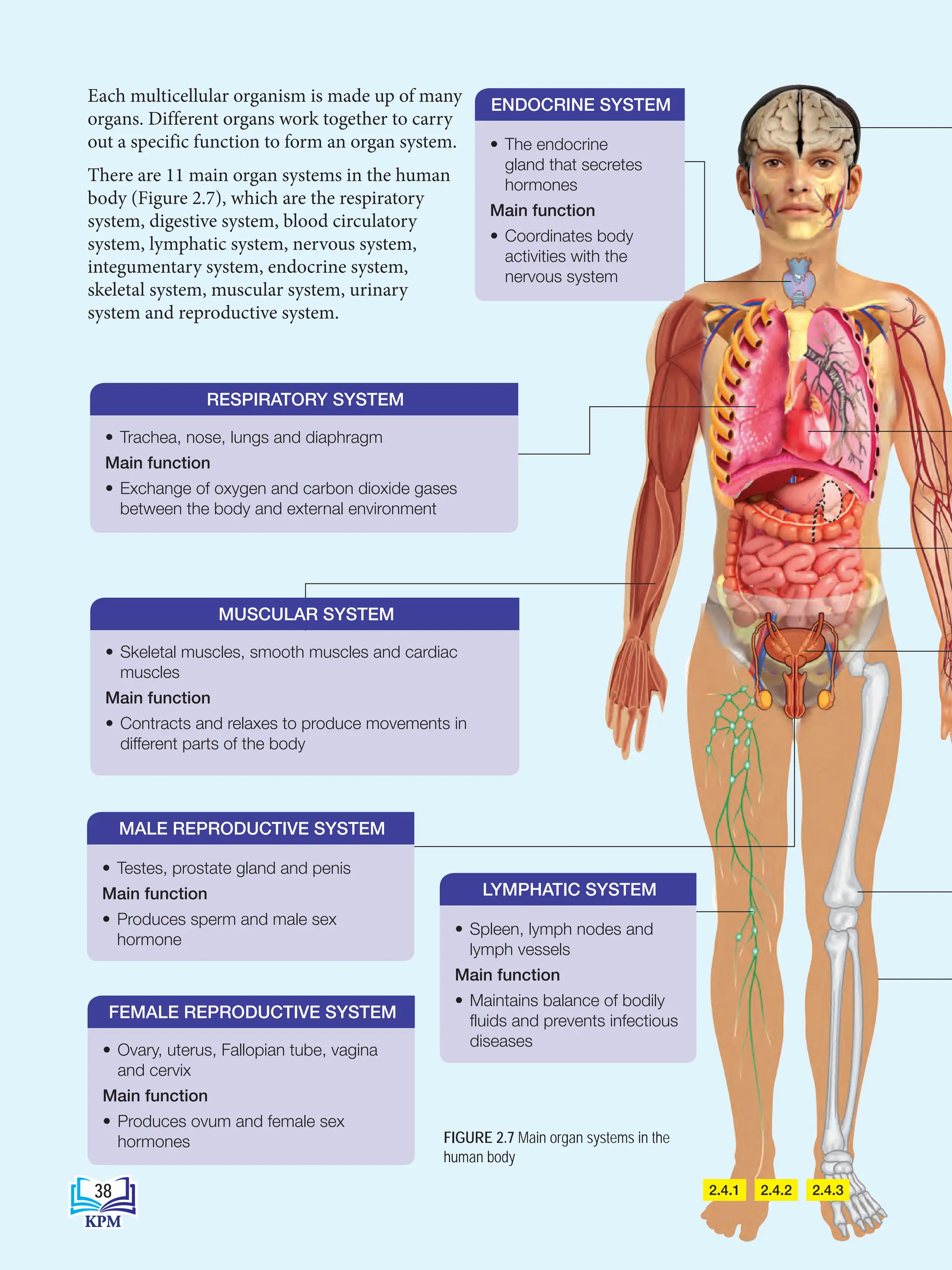 Text Book Biology_Form_4.pdf | Biological Sciences | Science