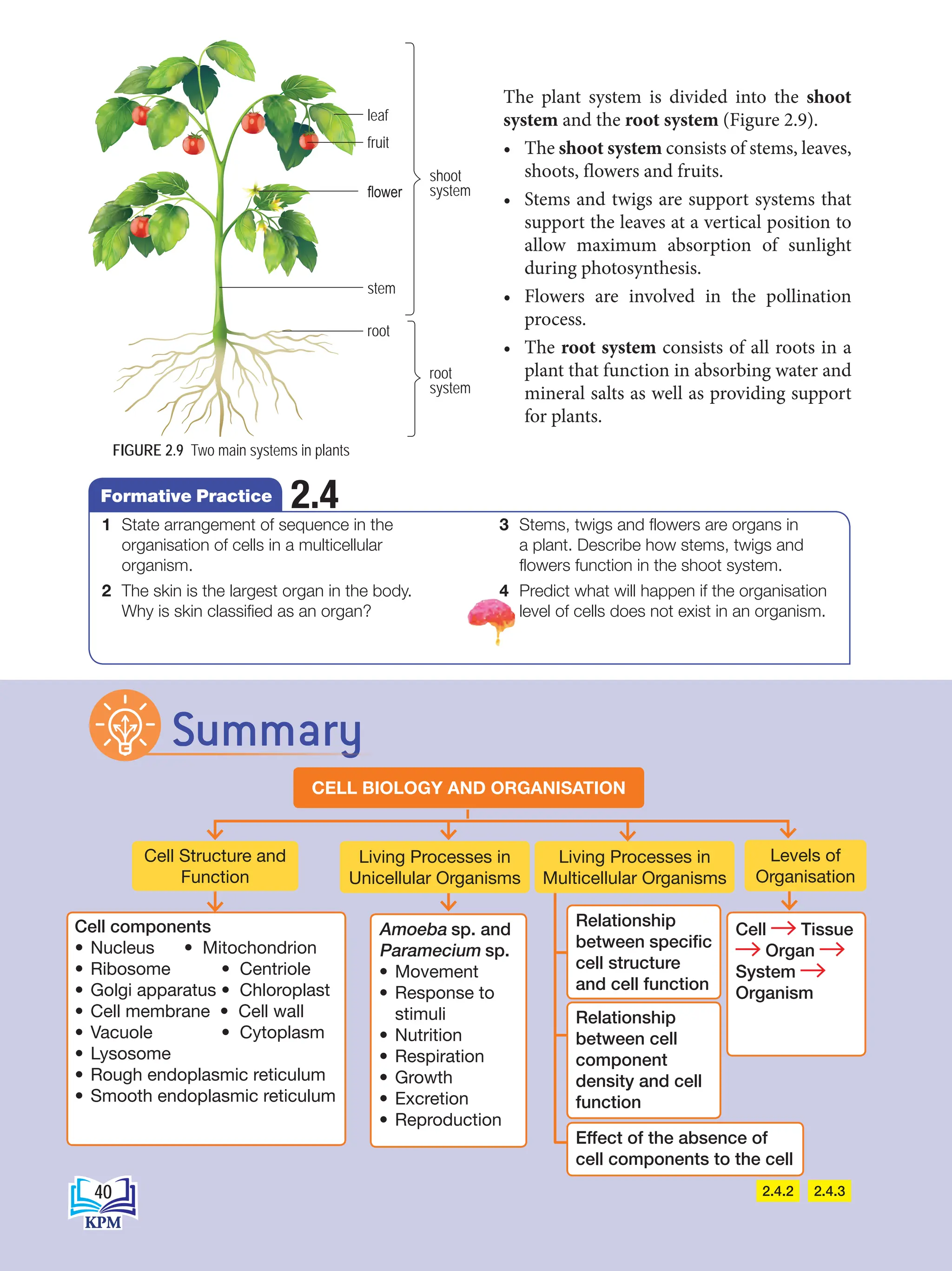 Text Book Biology_Form_4.pdf | Biological Sciences | Science