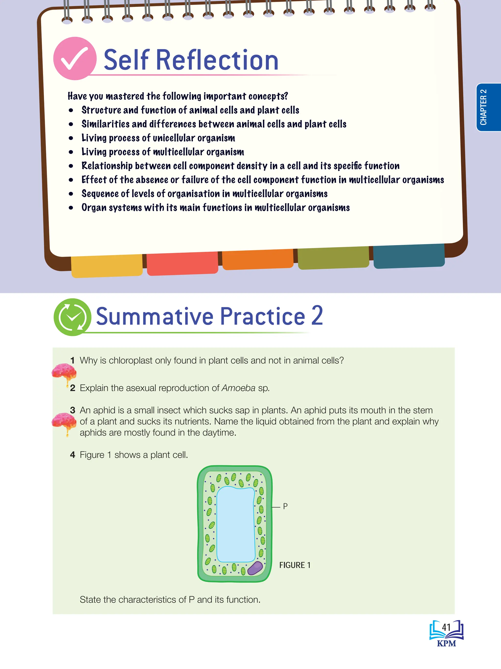Text Book Biology_Form_4.pdf | Biological Sciences | Science
