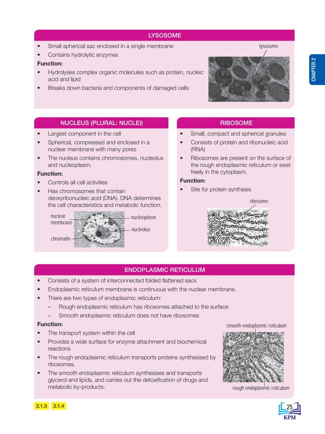 Text Book Biology_Form_4.pdf | Biological Sciences | Science