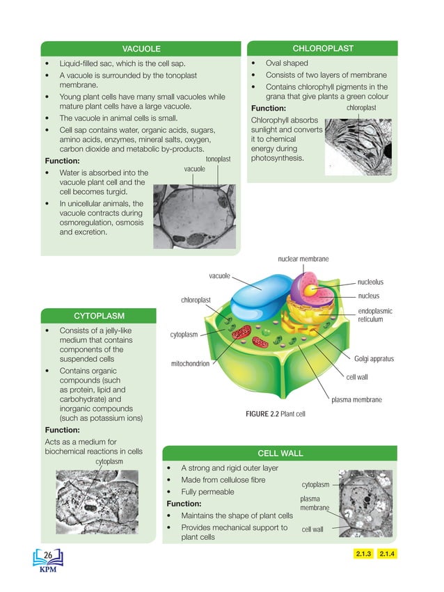 Text Book Biology_Form_4.pdf | Biological Sciences | Science