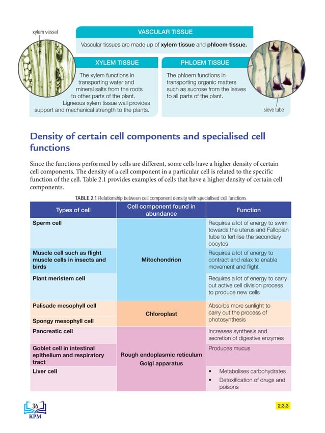 Text Book Biology_Form_4.pdf | Biological Sciences | Science