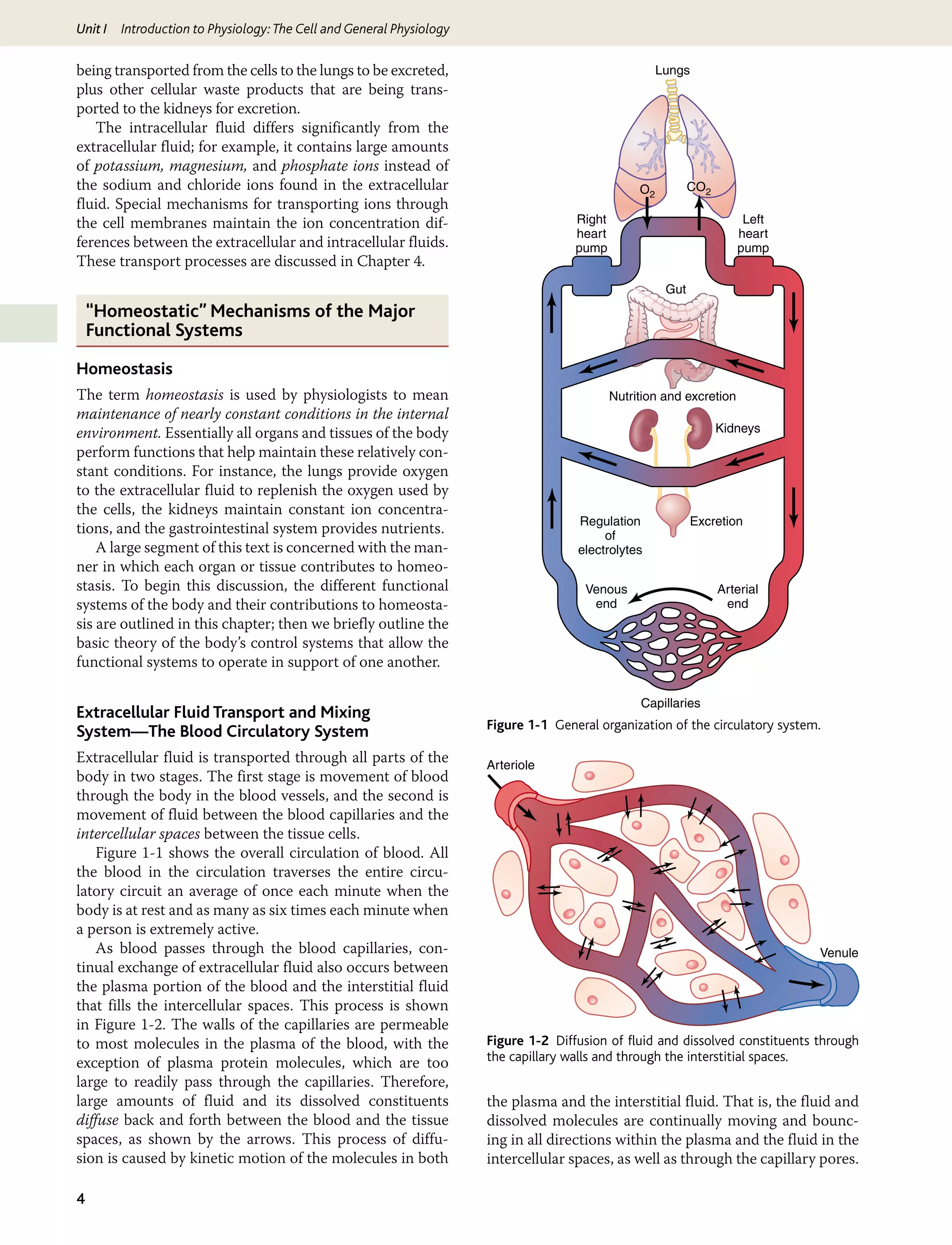 Textbook of Medical Physiology by Guyton and Hall.pdf