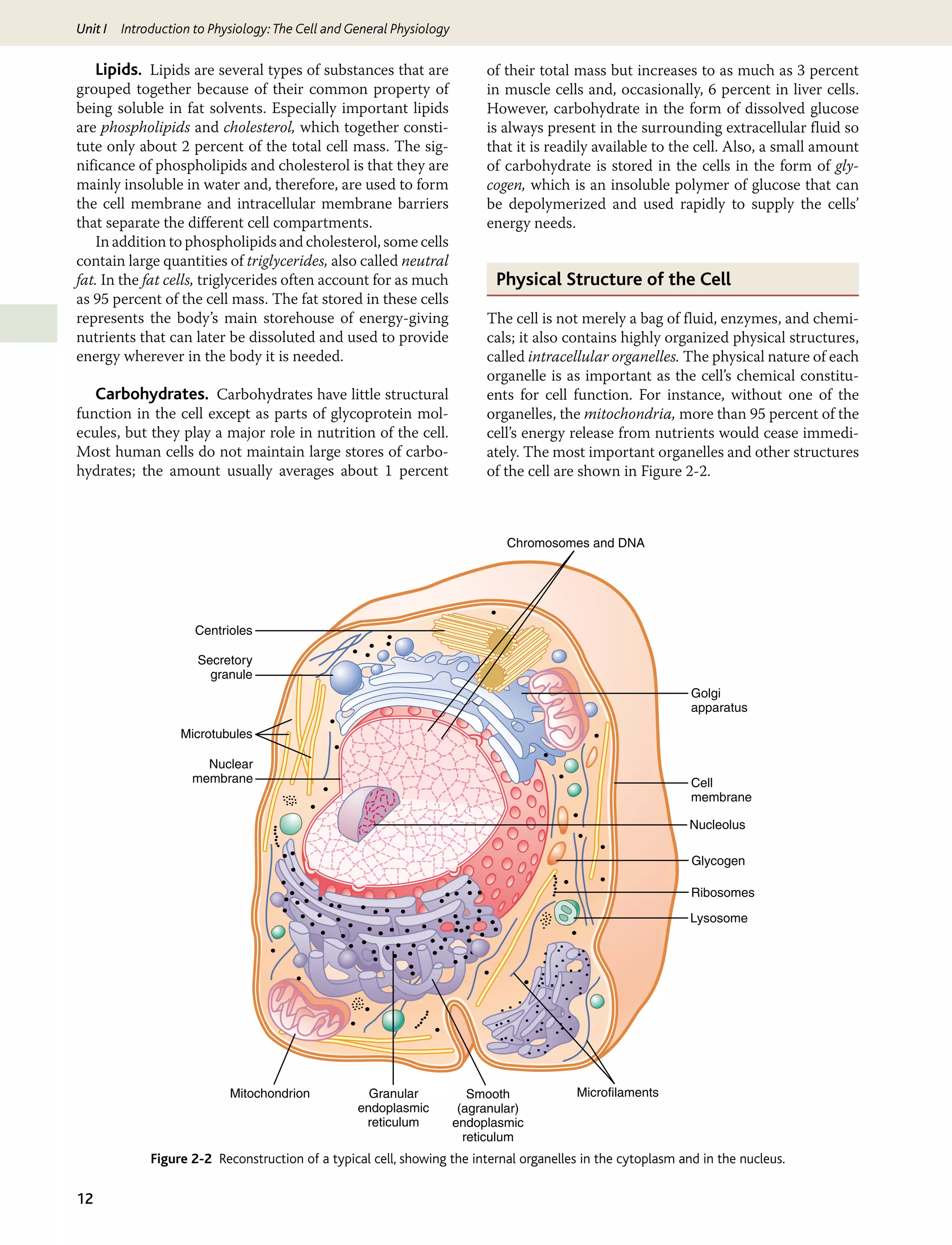 Textbook of Medical Physiology by Guyton and Hall.pdf