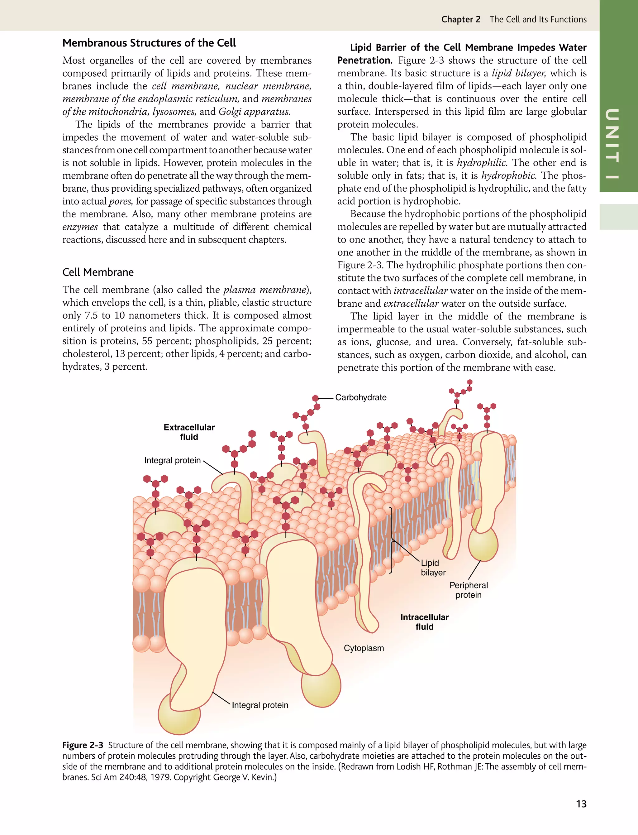 Textbook of Medical Physiology by Guyton and Hall.pdf