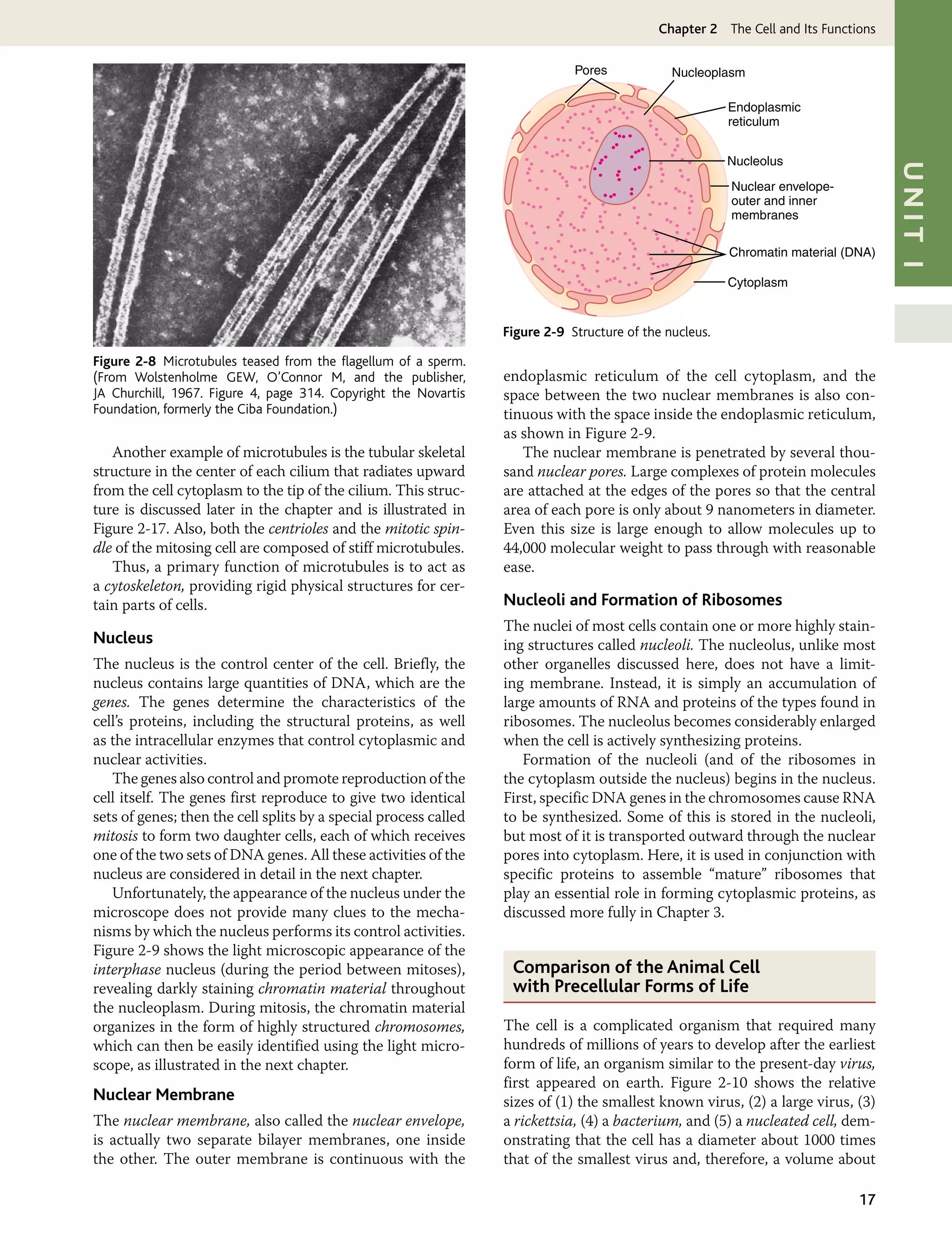 Textbook of Medical Physiology by Guyton and Hall.pdf