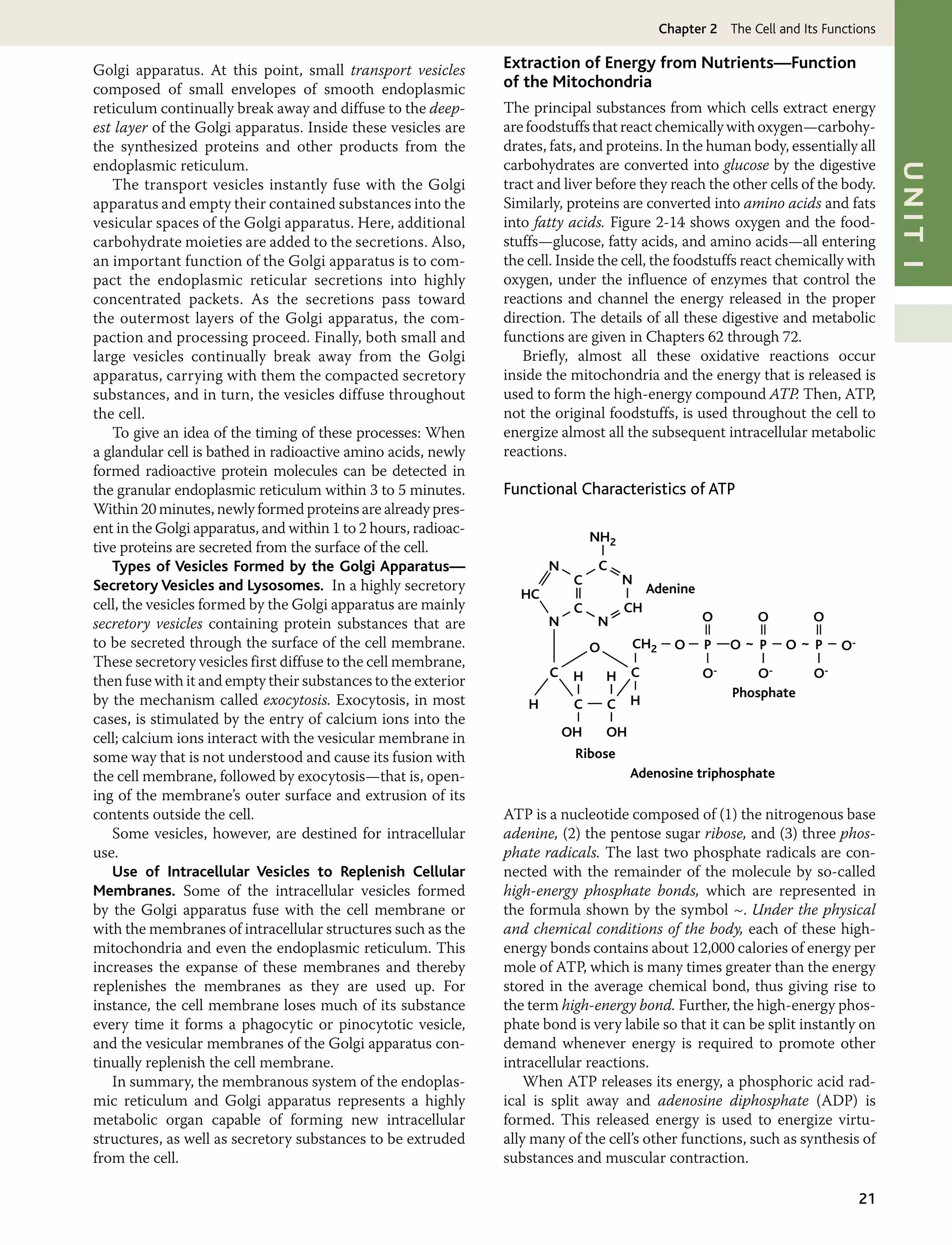 Textbook of Medical Physiology by Guyton and Hall.pdf