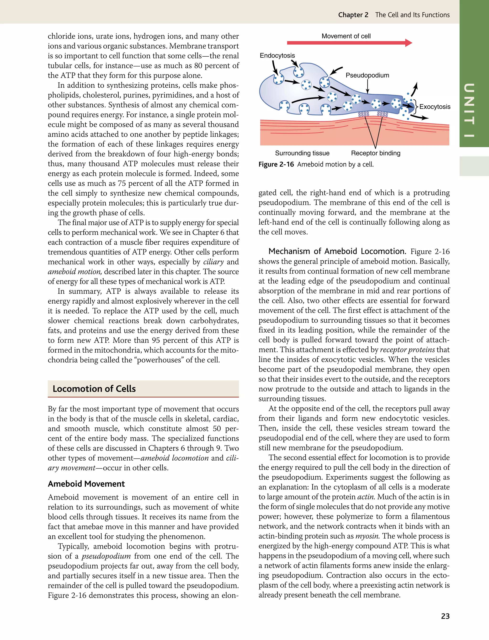 Textbook of Medical Physiology by Guyton and Hall.pdf