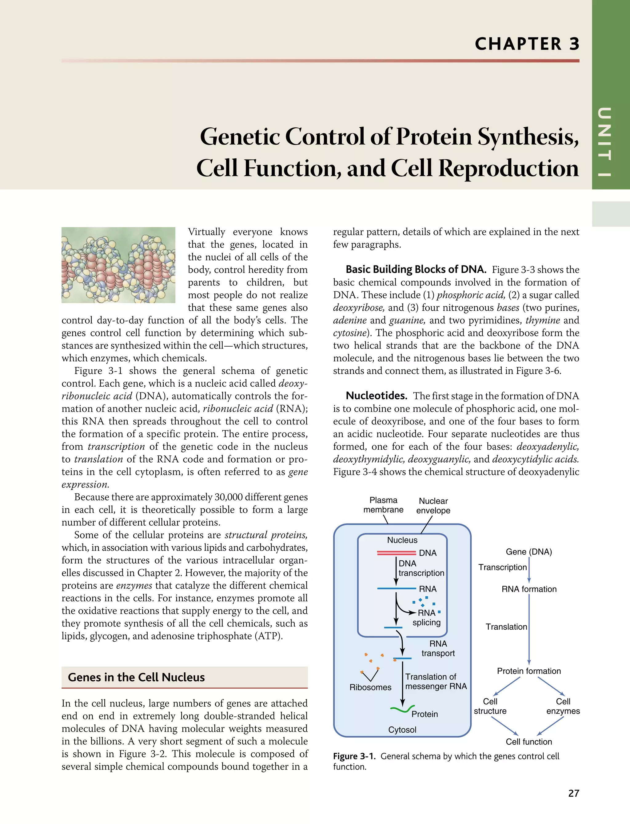 Textbook of Medical Physiology by Guyton and Hall.pdf