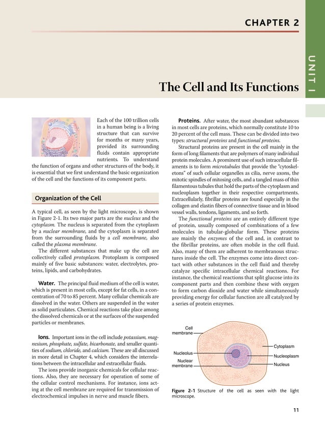 Textbook of Medical Physiology by Guyton and Hall.pdf