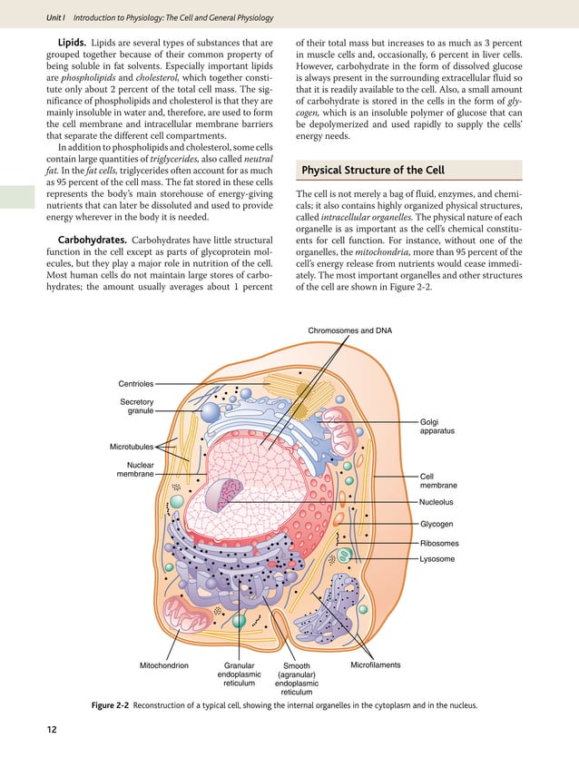 Textbook of Medical Physiology by Guyton and Hall.pdf