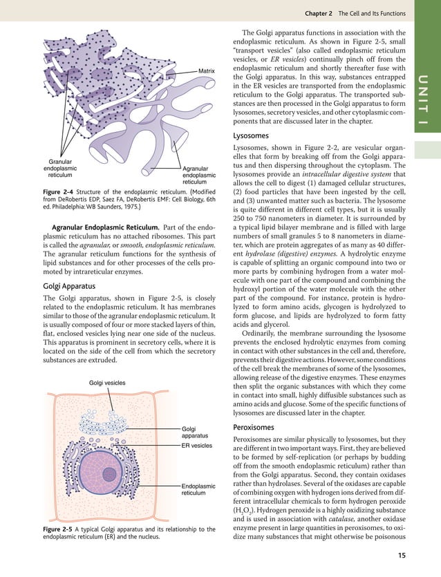 Textbook of Medical Physiology by Guyton and Hall.pdf