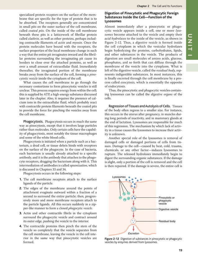 Textbook of Medical Physiology by Guyton and Hall.pdf