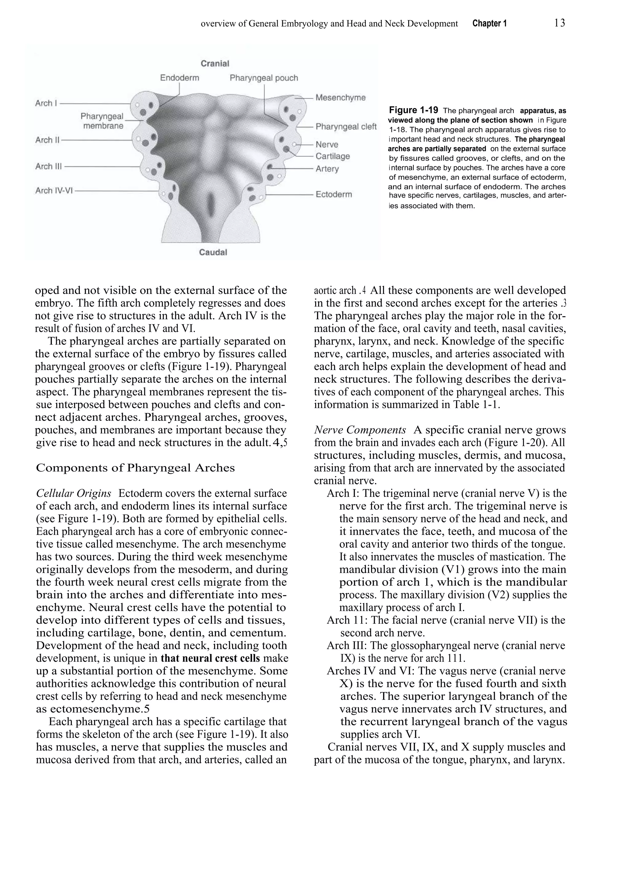 Text book of orthodontics | PDF