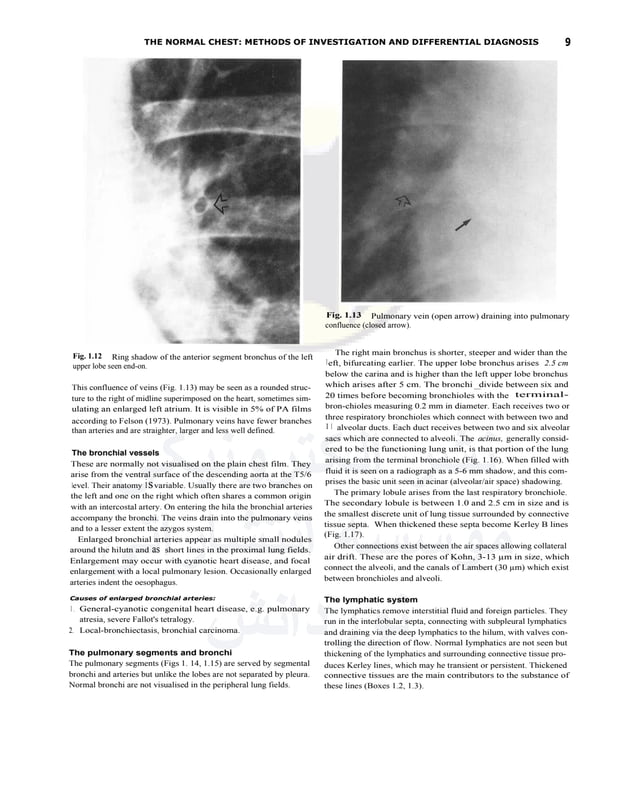 Textbook of Radiology and Imaging (Vol. 1) ( PDFDrive ).pdf