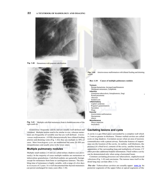 Textbook of Radiology and Imaging (Vol. 1) ( PDFDrive ).pdf