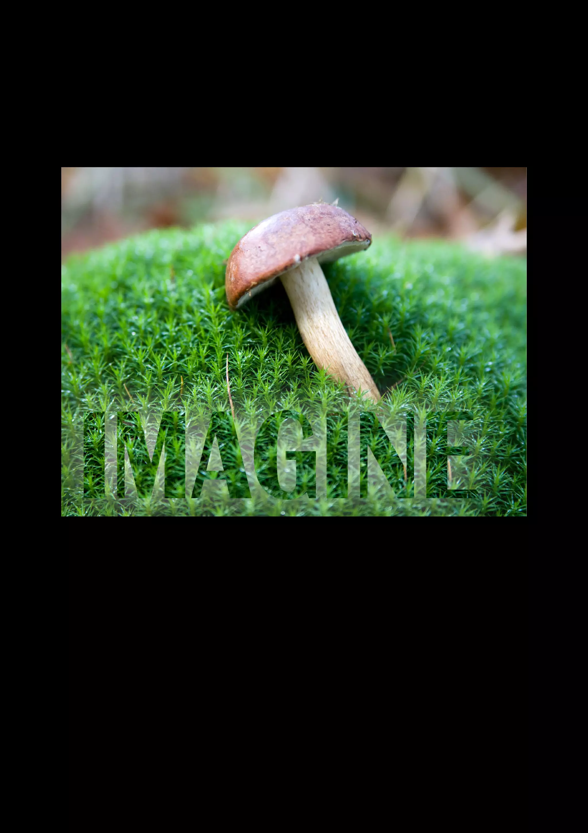 Text Clipping Masks Project | PDF