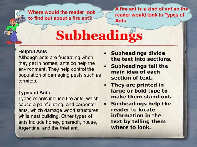 Text features powerpoint | PPTX