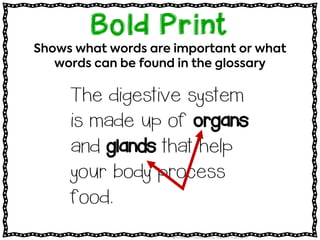 In Text Feature Bold