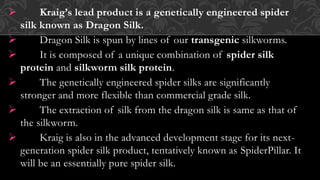 SPIDER SILK | PPTX