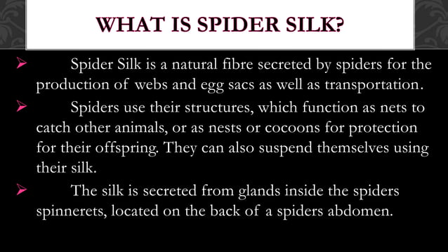 SPIDER SILK | PPT