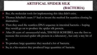 SPIDER SILK | PPTX