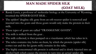 SPIDER SILK | PPT
