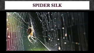 SPIDER SILK | PPTX
