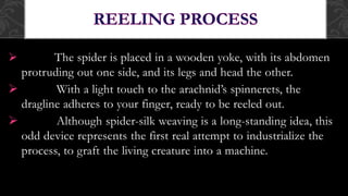SPIDER SILK | PPTX