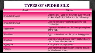 SPIDER SILK | PPTX