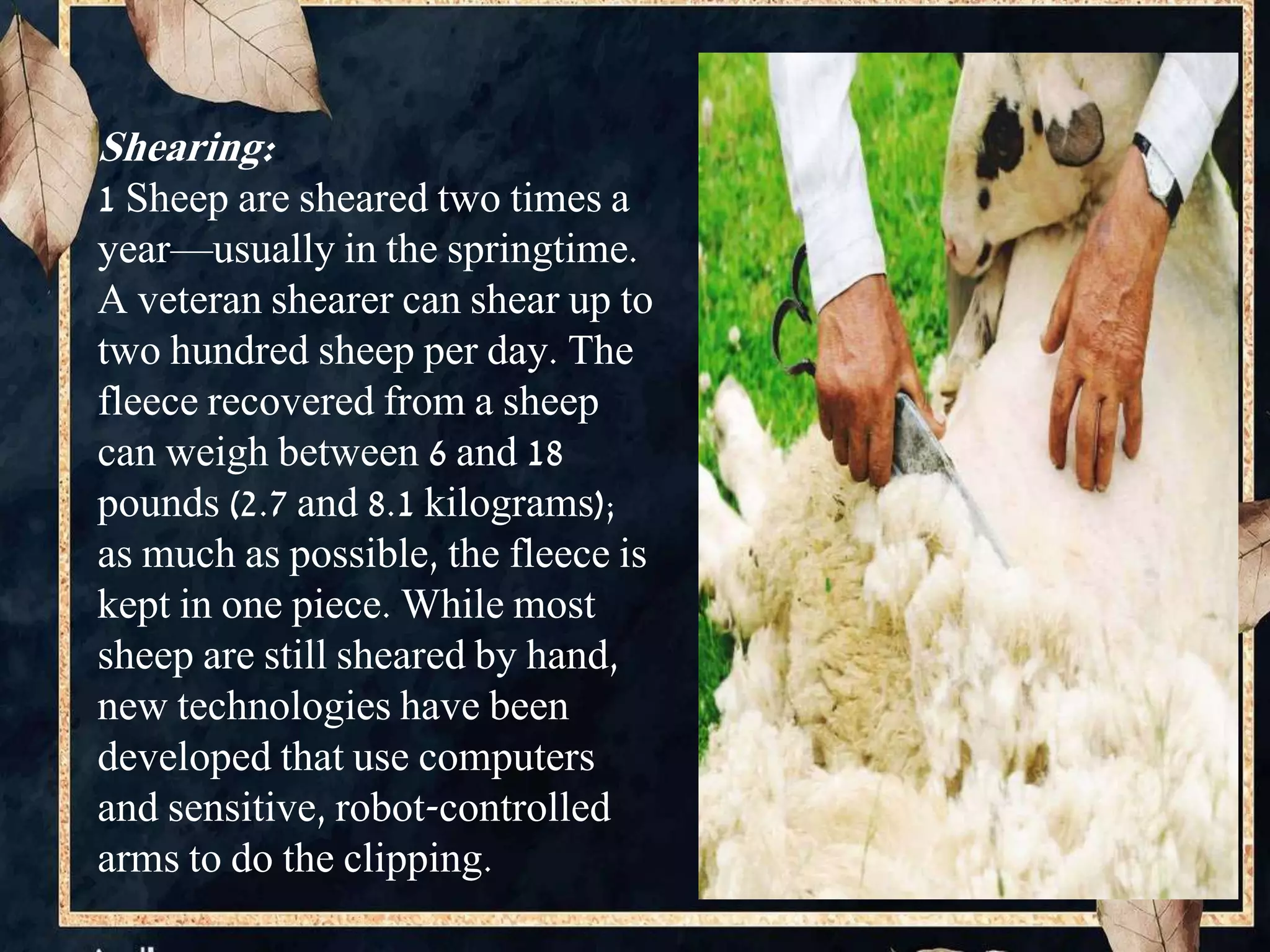 wool: introdction,origin and histrory, process, types, classification ...
