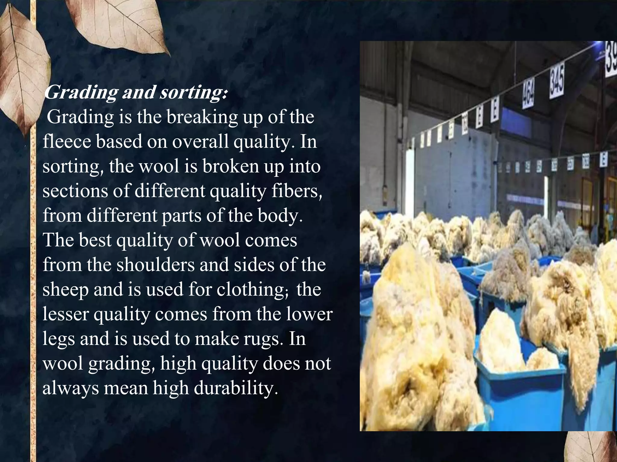 wool: introdction,origin and histrory, process, types, classification ...