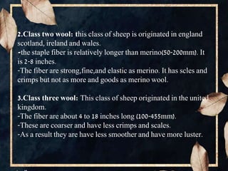 wool: introdction,origin and histrory, process, types, classification ...