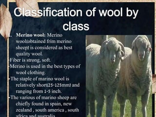 wool: introdction,origin and histrory, process, types, classification ...