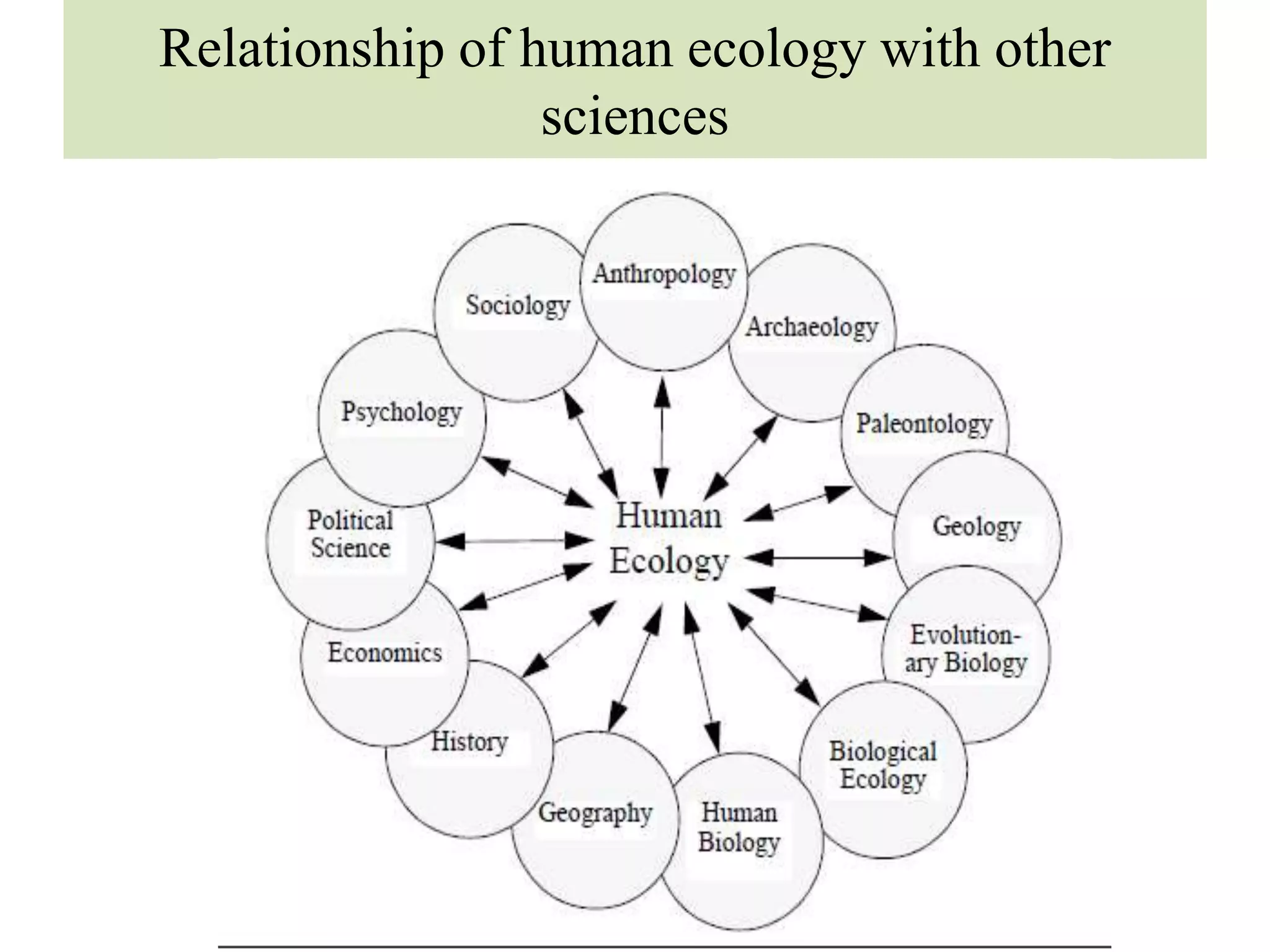 Textile ecology | PPTX