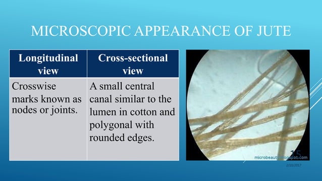 Textile fiber identification | PPTX | Hair Care | Beauty