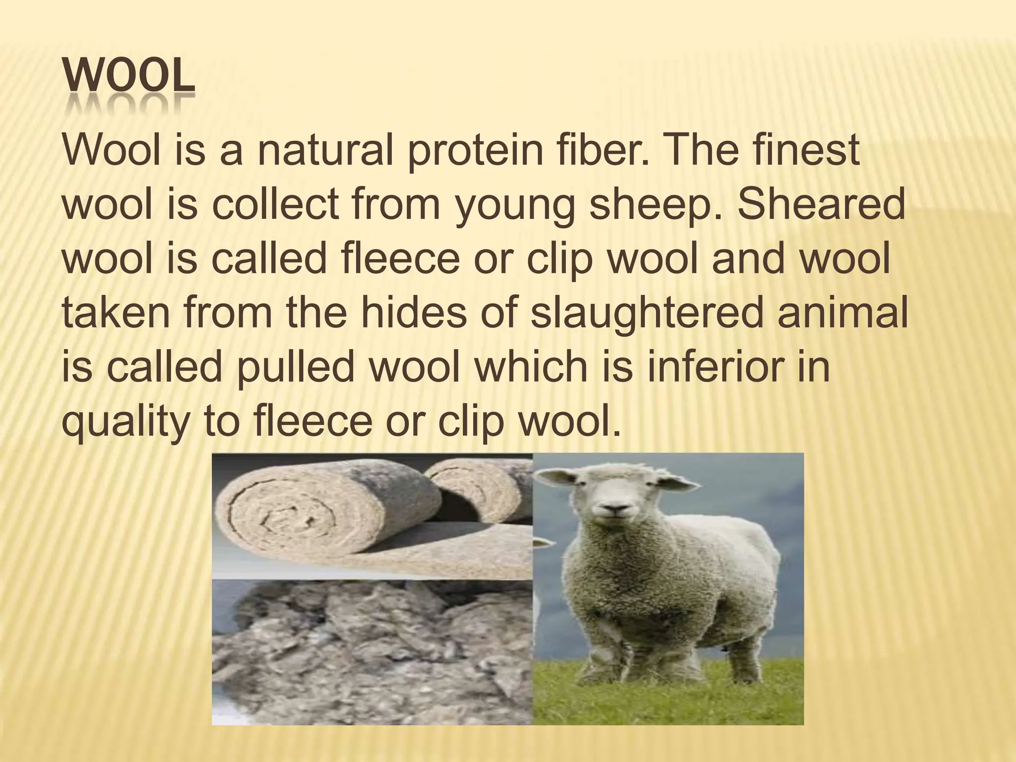 textile fiber lecture material for level 2.pptx