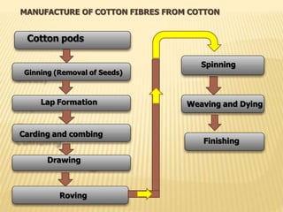 textile fiber lecture material for level 2.pptx