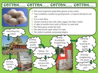 Textile Fiber Classification according to source | PPT
