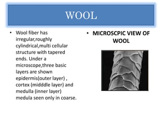 Textile fiber report | PPTX