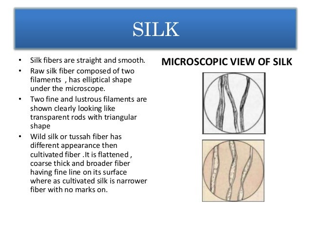 Textile fiber report