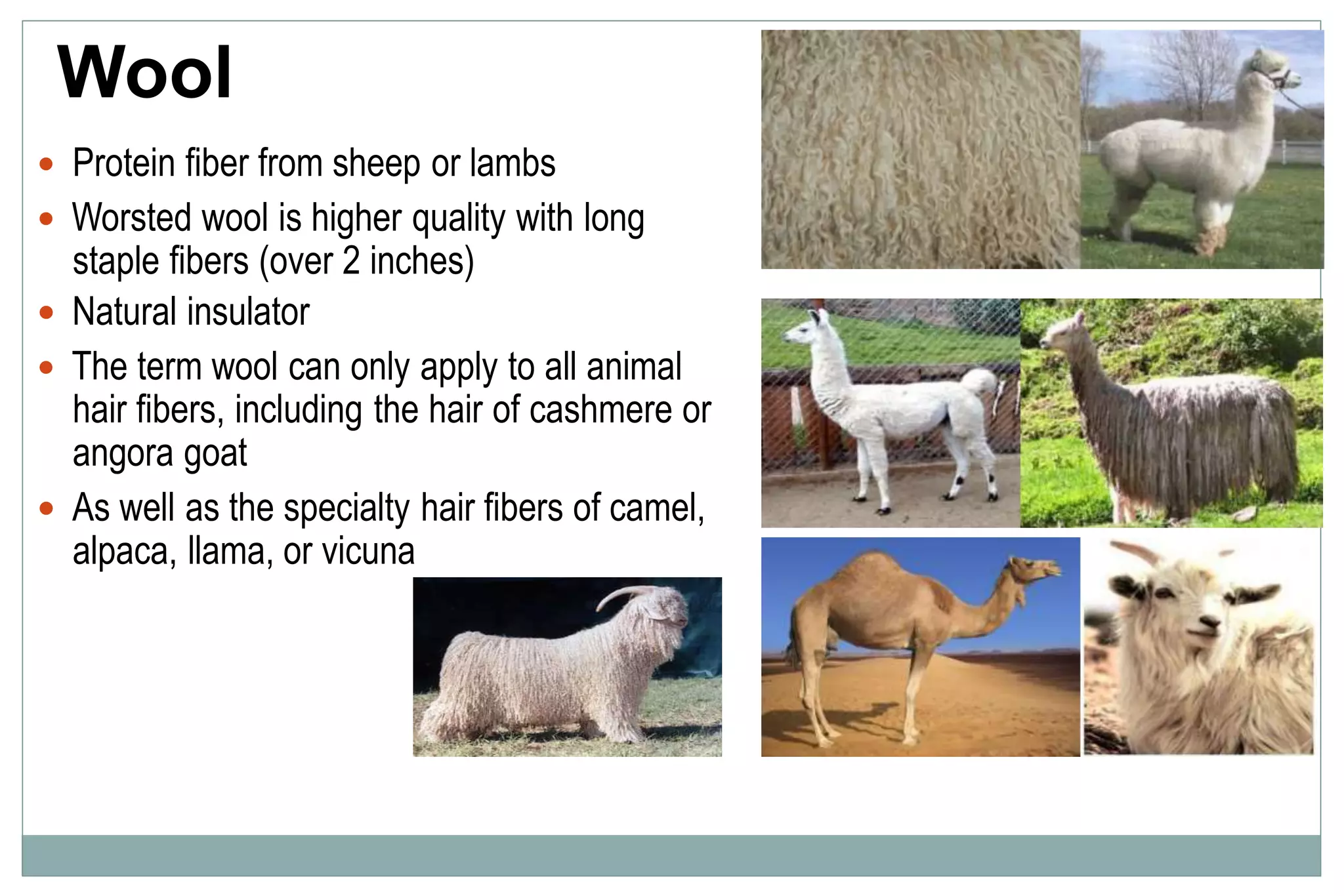 Textile fibers and yarns editabl | PPTX