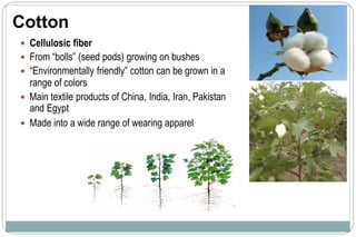 Textile fibers and yarns editabl | PPTX