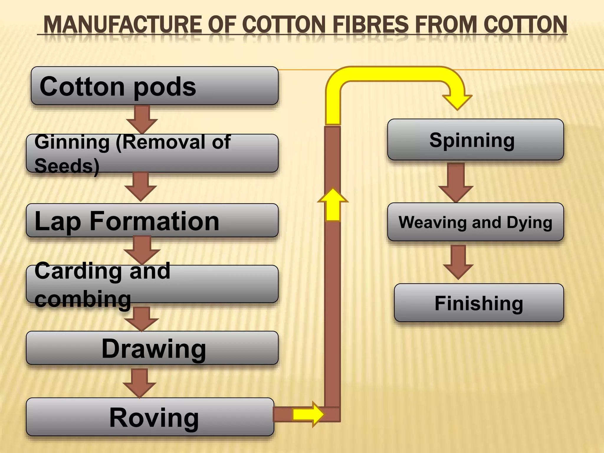 Textile fibres | PPTX
