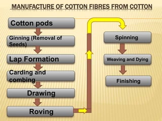 Textile fibres | PPTX